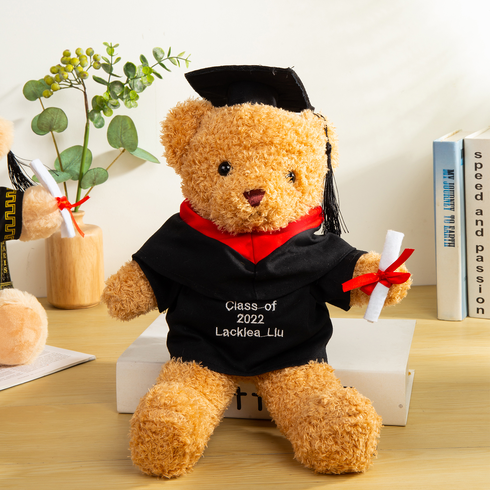 Personalized Graduation Teddy Bear Embroidered Name Graduation Gift